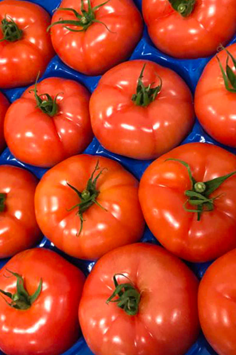 Nos tomates – Frulexxo