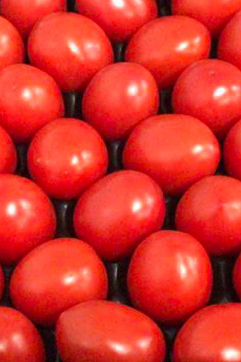 Nos tomates – Frulexxo